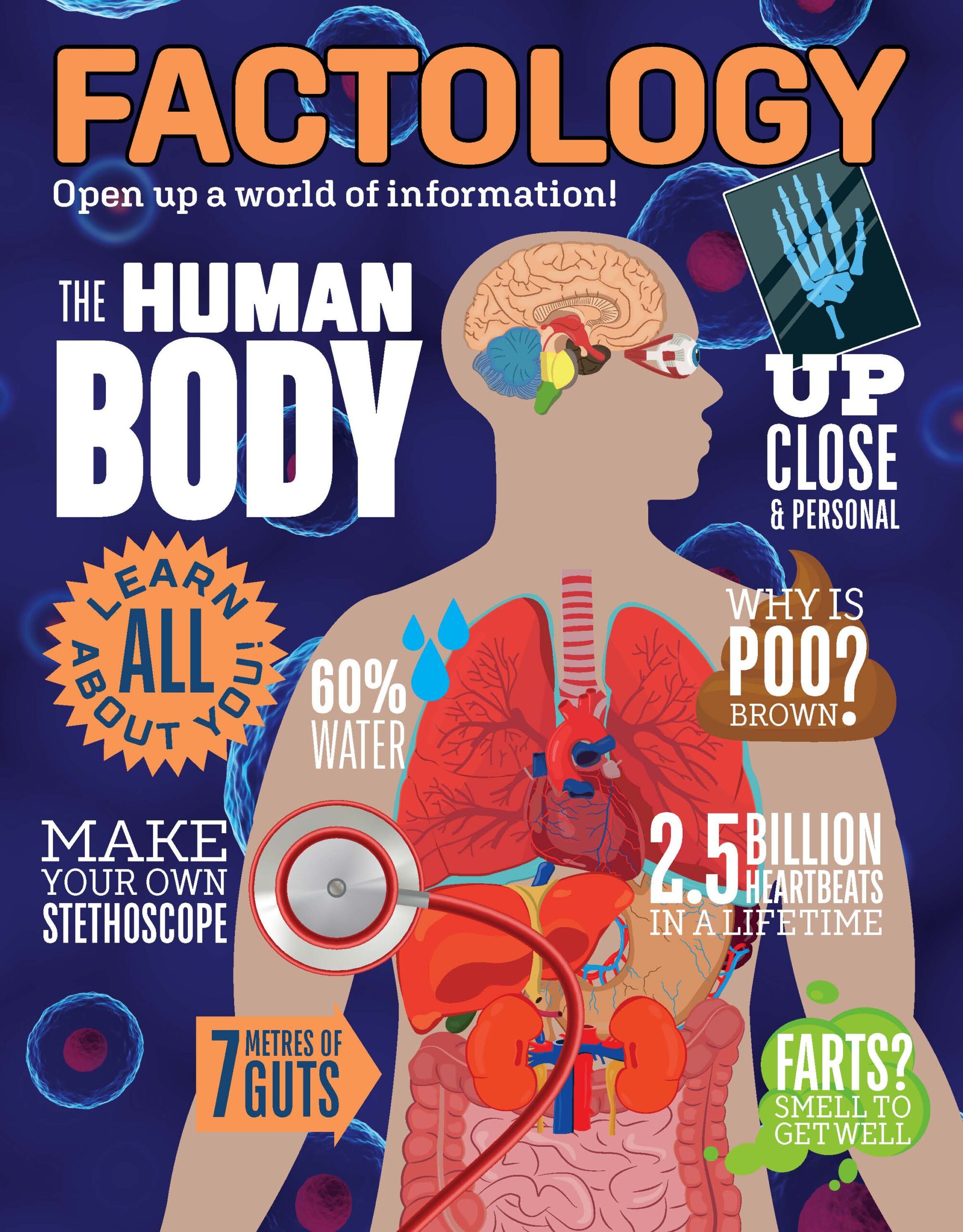 Factology Issue 8: Human Body - Buy online