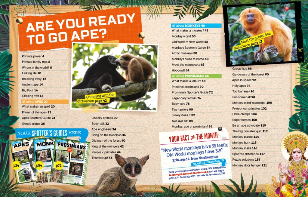 Factology magazine - Subscribe - GMC Publications