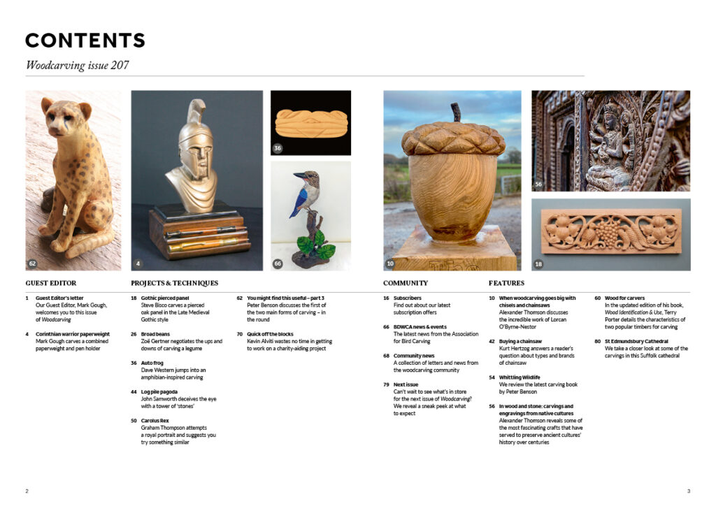 Woodcarving magazine - Subscribe - GMC Publications - Woodworking