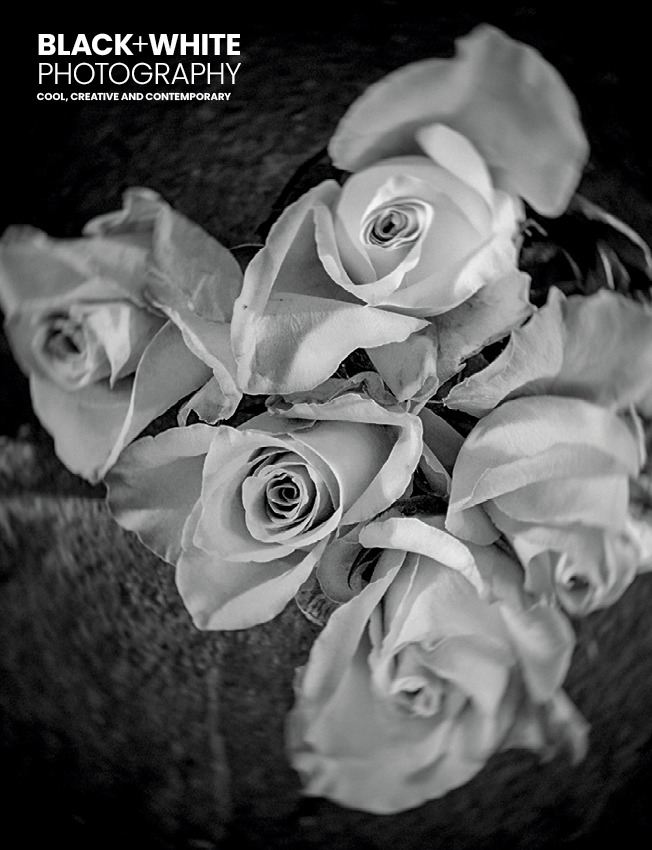 Subscriptions - GMC Publications